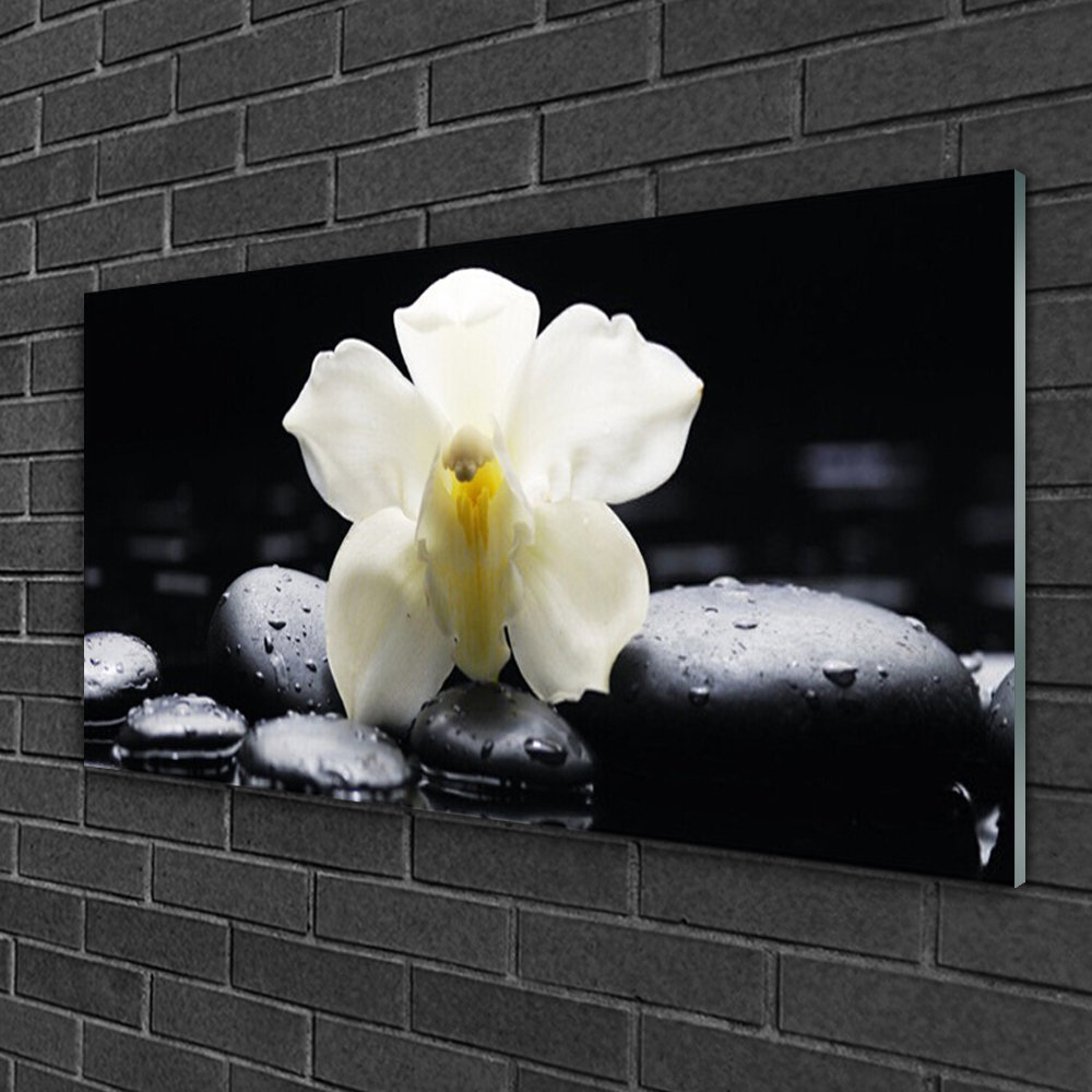 Brayden Studio Flower Stones Floral - Unframed Photograph on Glass ...