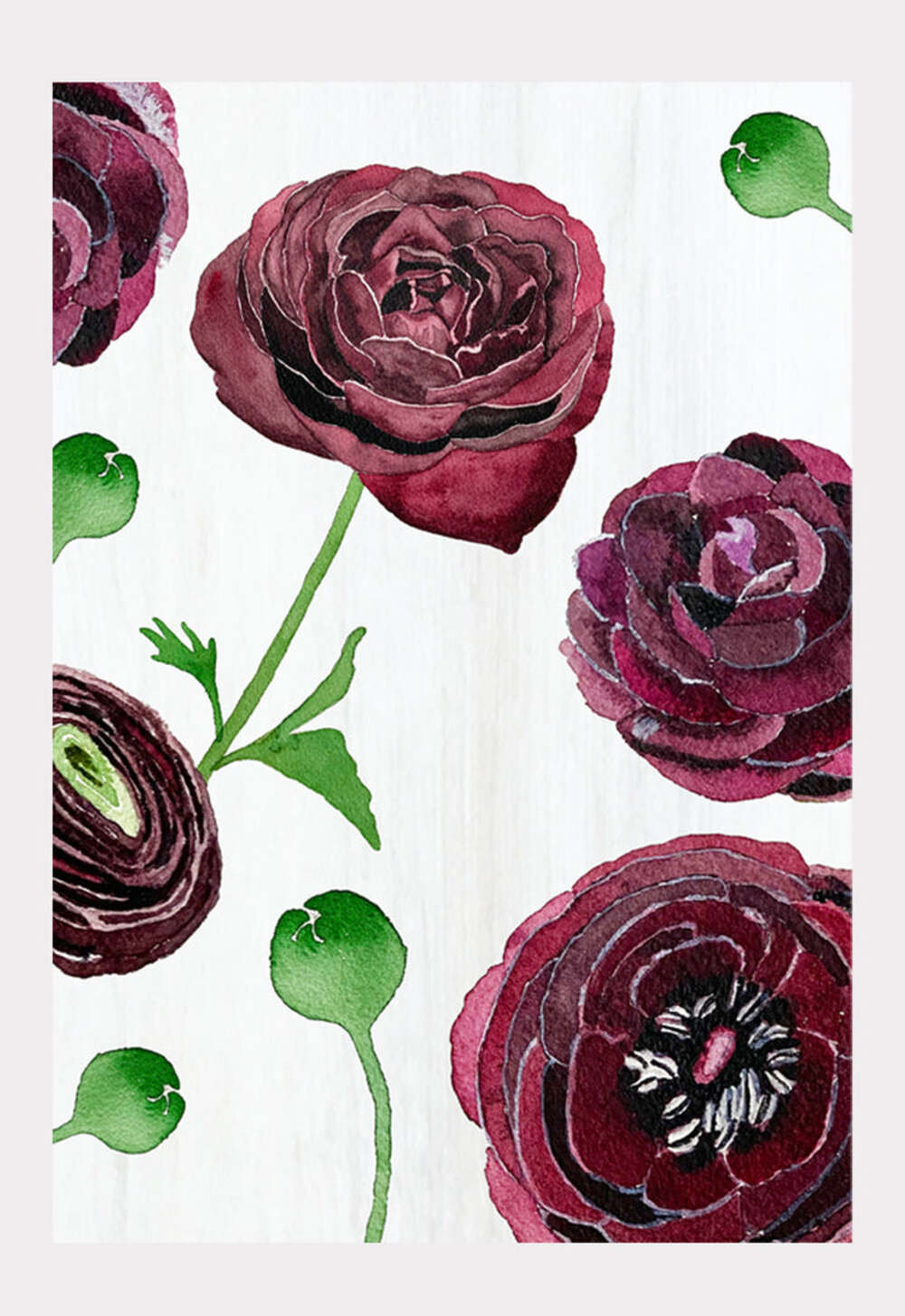 India & Purry Art Print: Black Ranunculus on Snow | Wayfair