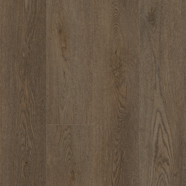 Victoria Home Costa Luxury Vinyl Plank - Wayfair Canada