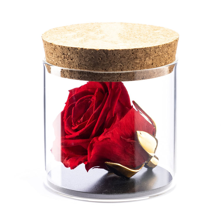 The Seasonal Aisle Andolin Valentine's Day | Wayfair.co.uk