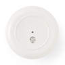 Wrendale Designs Classic Wrendale Designs, Cake Stand | Wayfair.co.uk