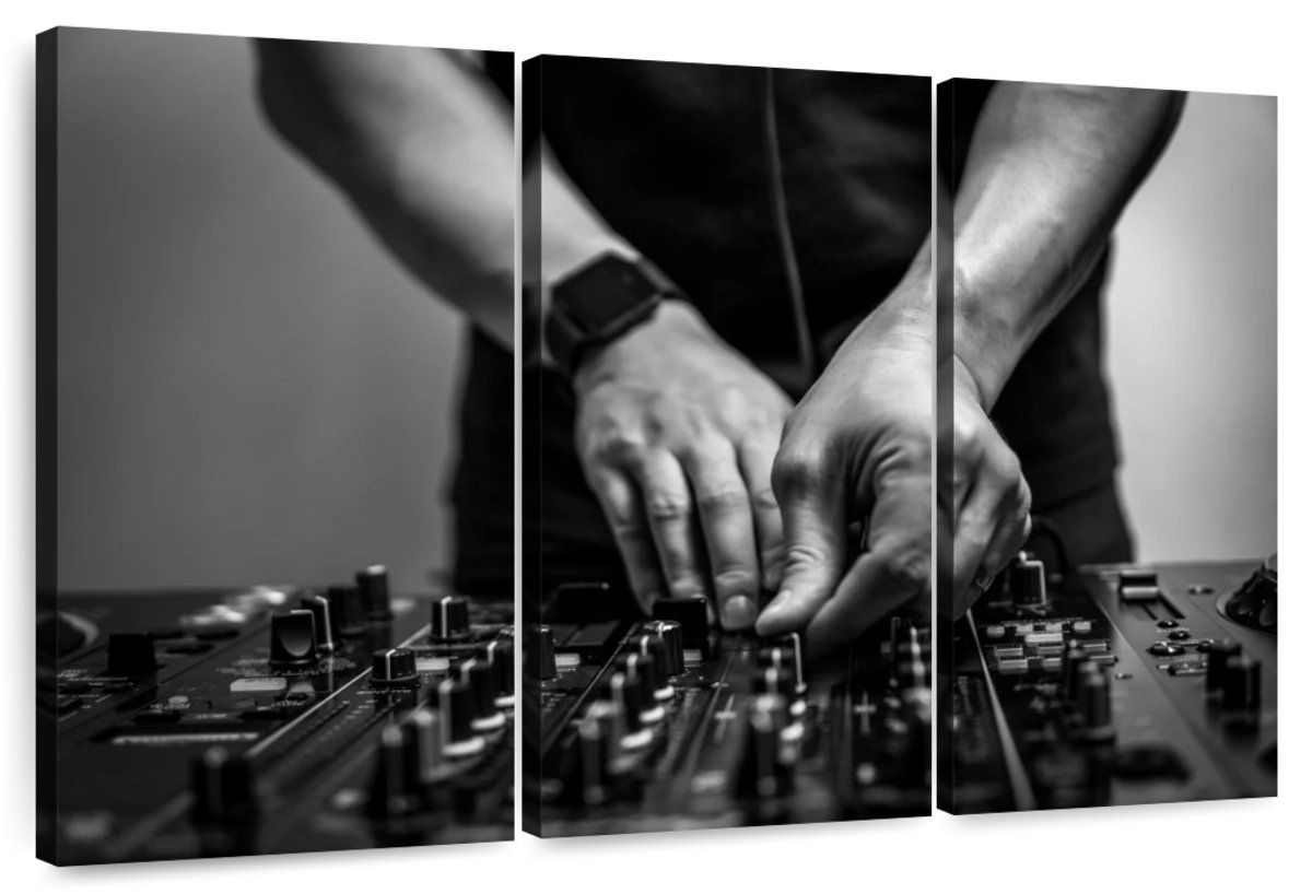 Elephant Stock DJ And Sound Mixer | Wayfair