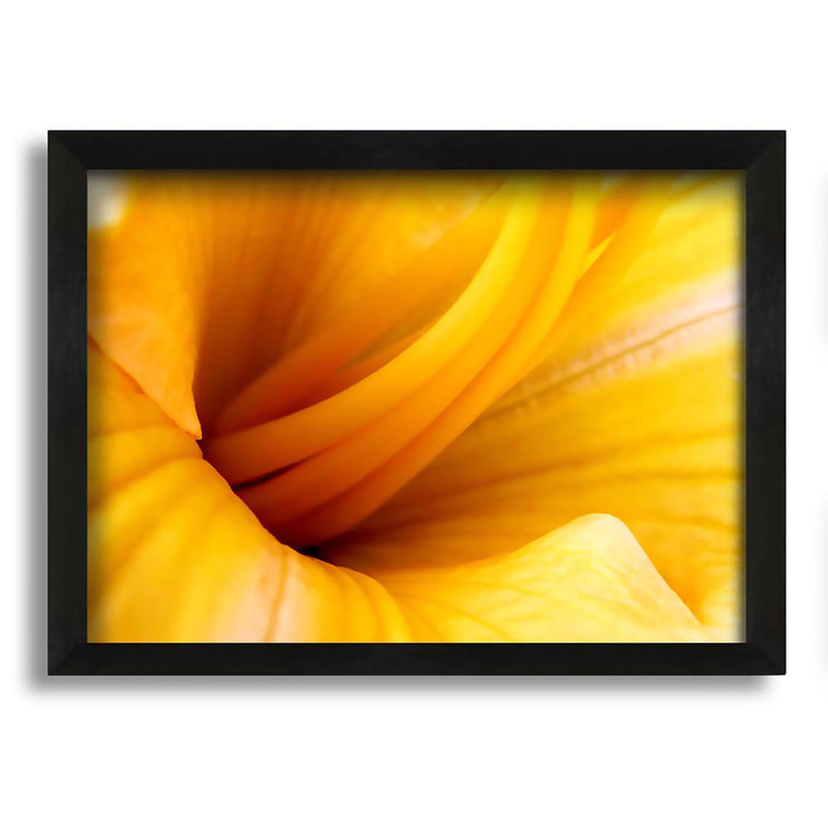 Ophelia & Co. Yellow Trumpet - Single Picture Frame Print on Canvas ...