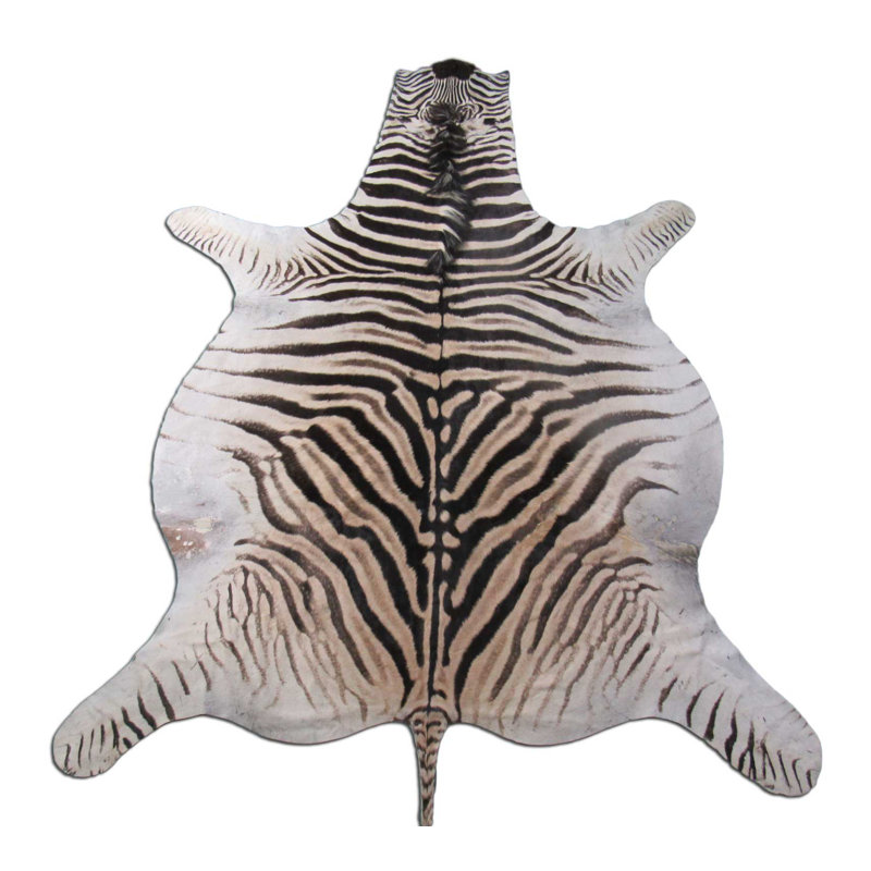 Foundry Select Real Zebra Skin Rug | Wayfair