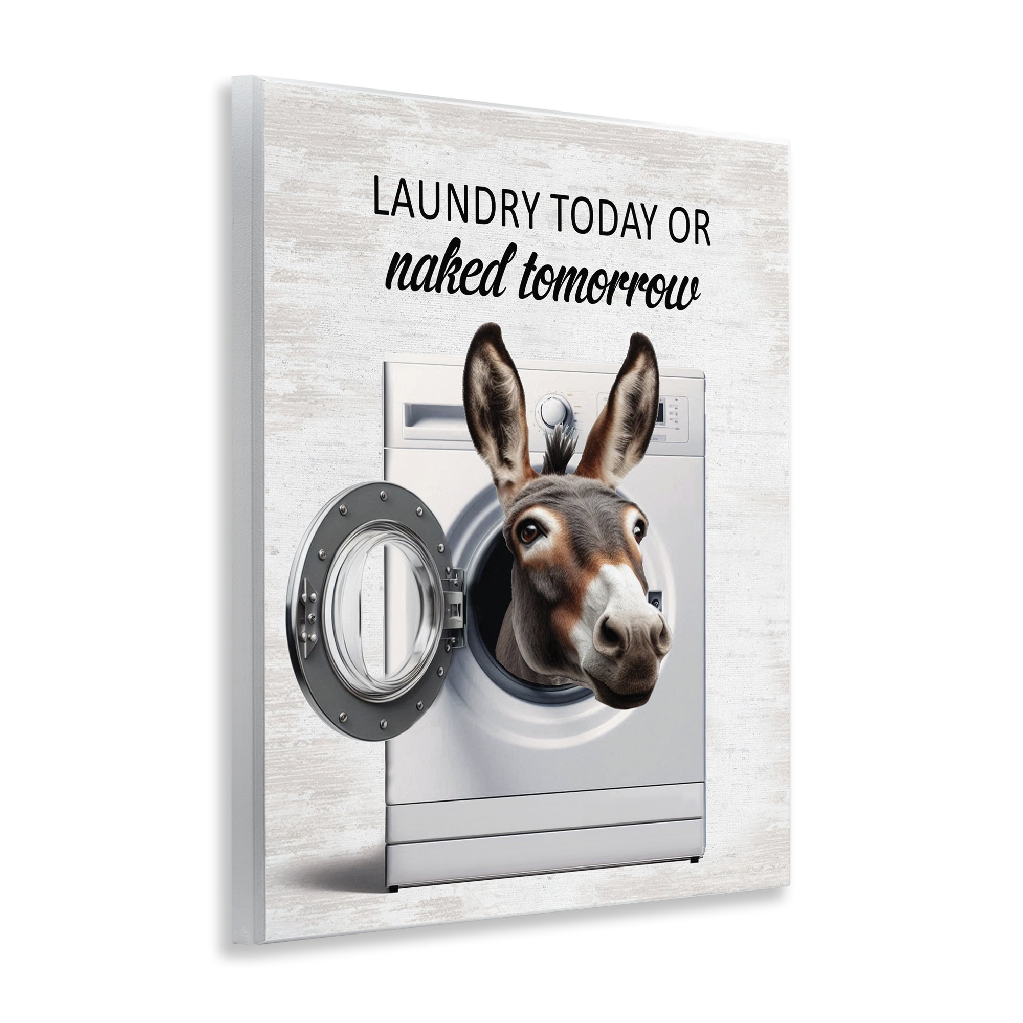 Ophelia & Co. Funny Donkey Washing Machine Wall Plaque, design by ...