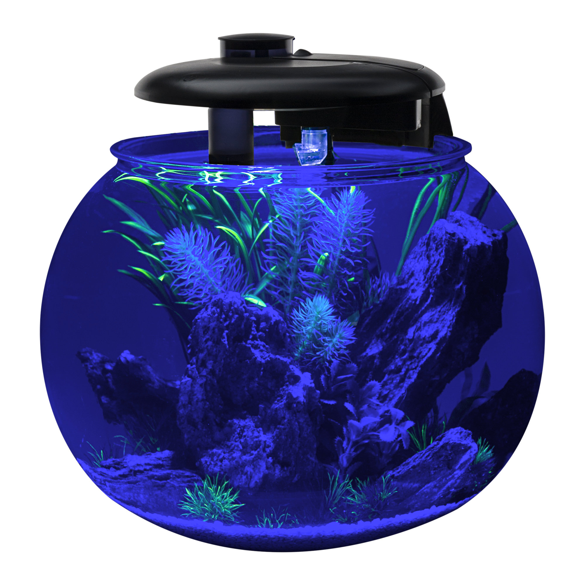 Penn Plax Aquasphere 360 Large Aquarium Bowl – 14 Gallons & Reviews ...