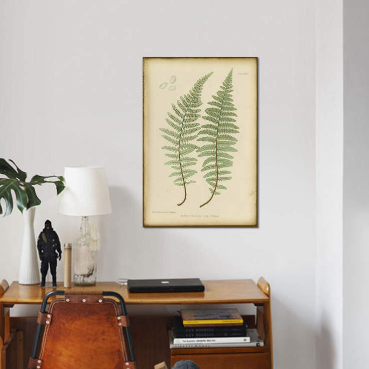 East Urban Home 'Lastrea Filix' Graphic Art Print on Canvas | Wayfair