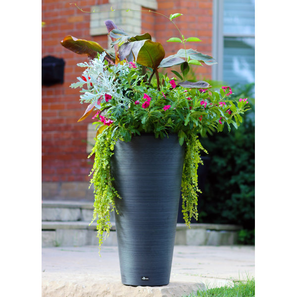 Ebern Designs Taio 28" Tall Ribbed Pot Planter with Elevated Plant ...