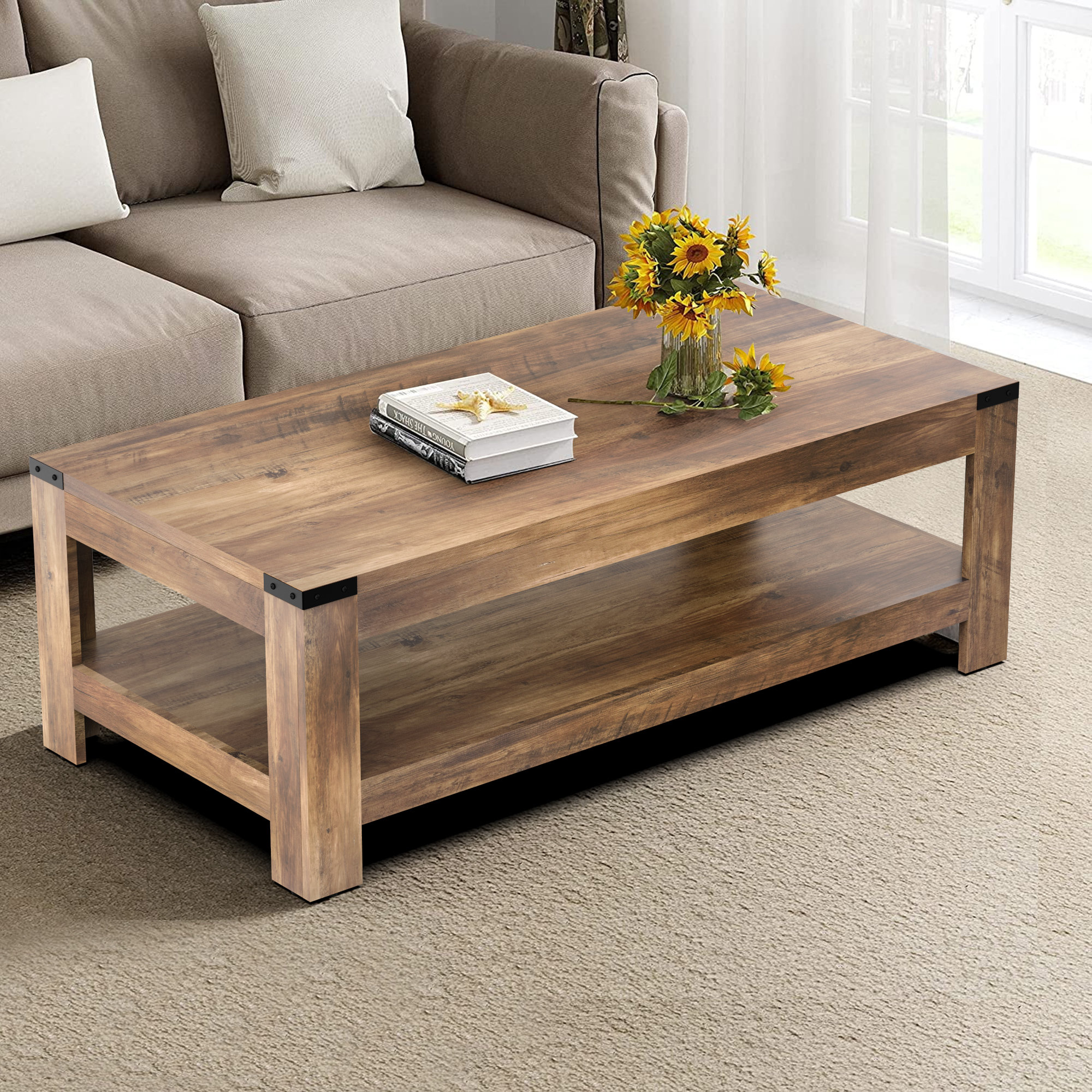 Millwood Pines Damika Rectangular Coffee Table with 2-Tier Storage ...