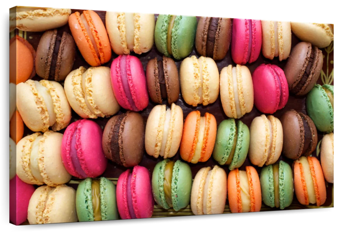 Elephant Stock Macarons - Wayfair Canada