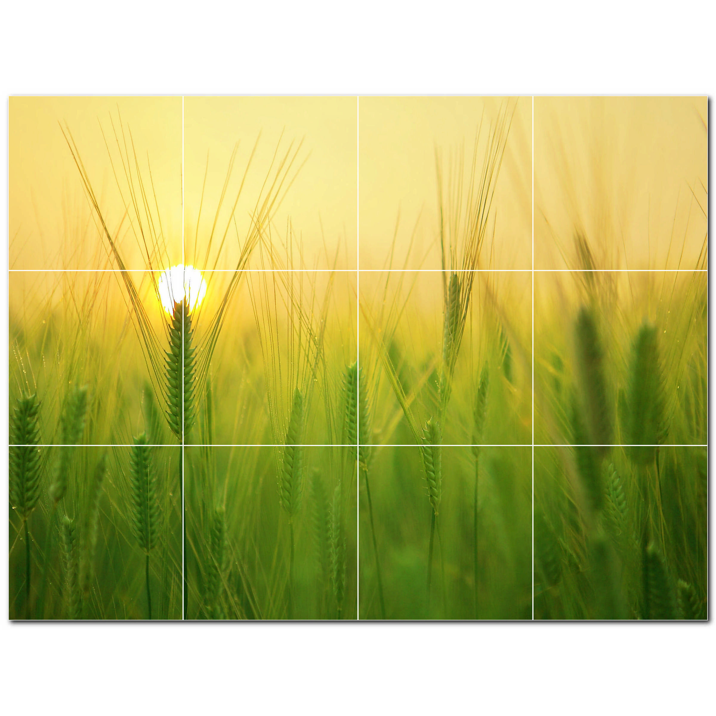 Picture-Tiles.com 48" x 36" Ceramic Farm Photo Decorative Mural Tile ...