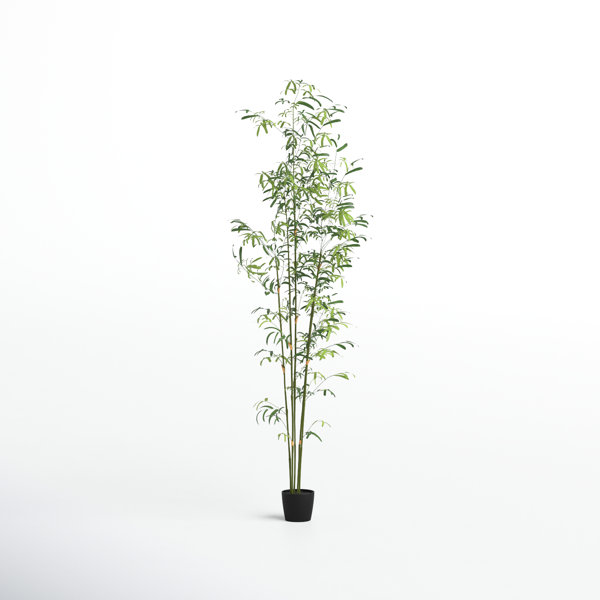Freeport Park® 6' Artificial Potted Mini Bamboo Tree & Reviews ...