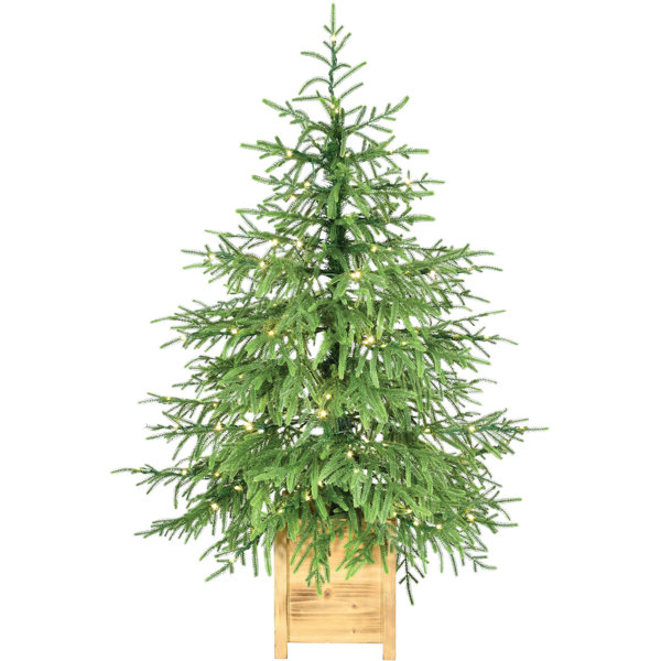Fraser Hill Farm Potted Artificial Christmas Porch Tree & Reviews ...