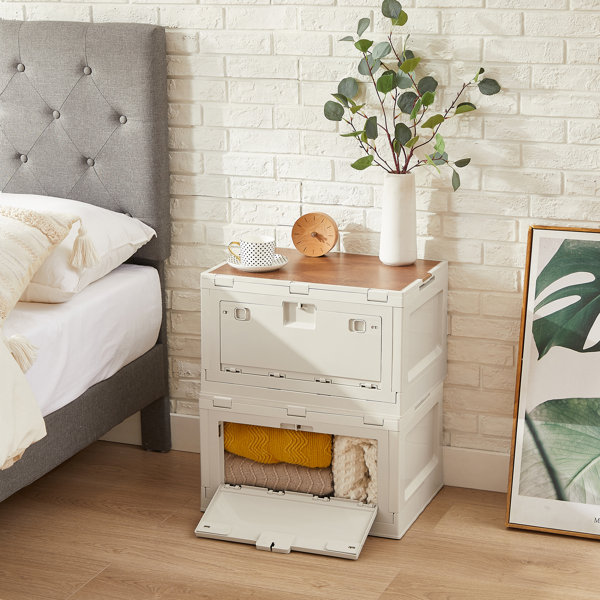 Rebrilliant Aarn 2 Pack Plastic Collapsible Storage Bins with Lid ...