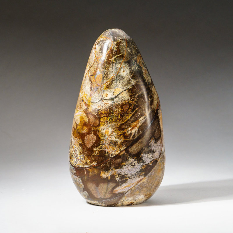 Astro Gallery of Gems Genuine Fancy Jasper Freeform From Madagascar (3 ...