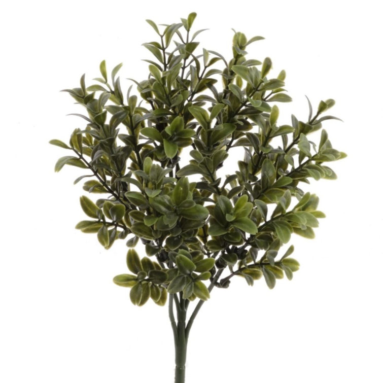 Primrue 10'' Faux Boxwood Plant | Wayfair