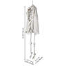 The Holiday Aisle® Kaytlynne Two Headed Halloween Skeleton Bone Life ...