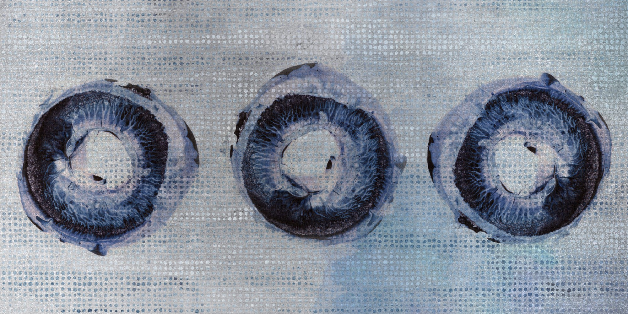 Marmont Hill 'Ring Shadows' Painting Print on Wrapped Canvas | Wayfair