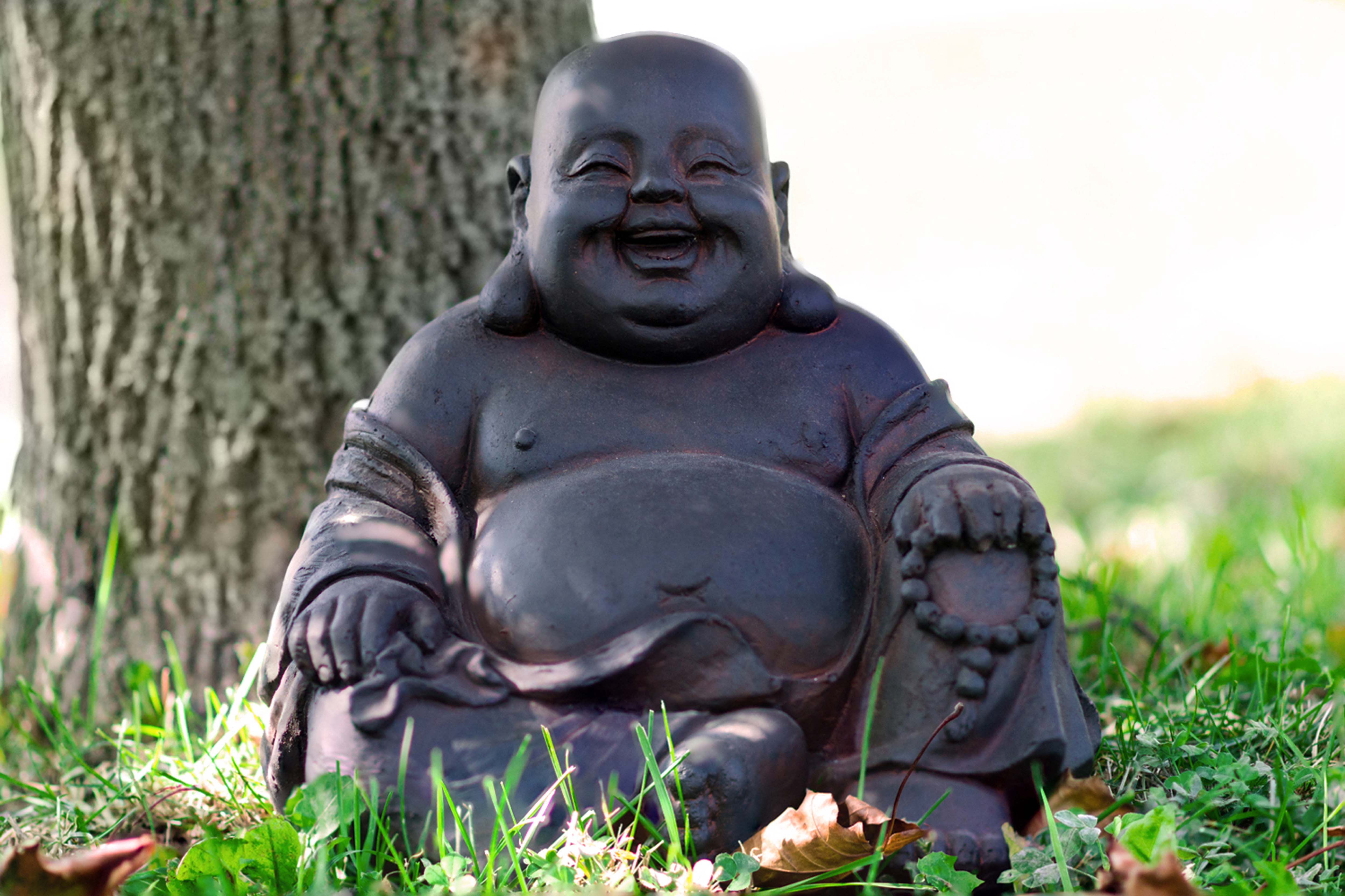Hi-Line Gift Ltd. Sitting Buddha Statue & Reviews - Wayfair Canada