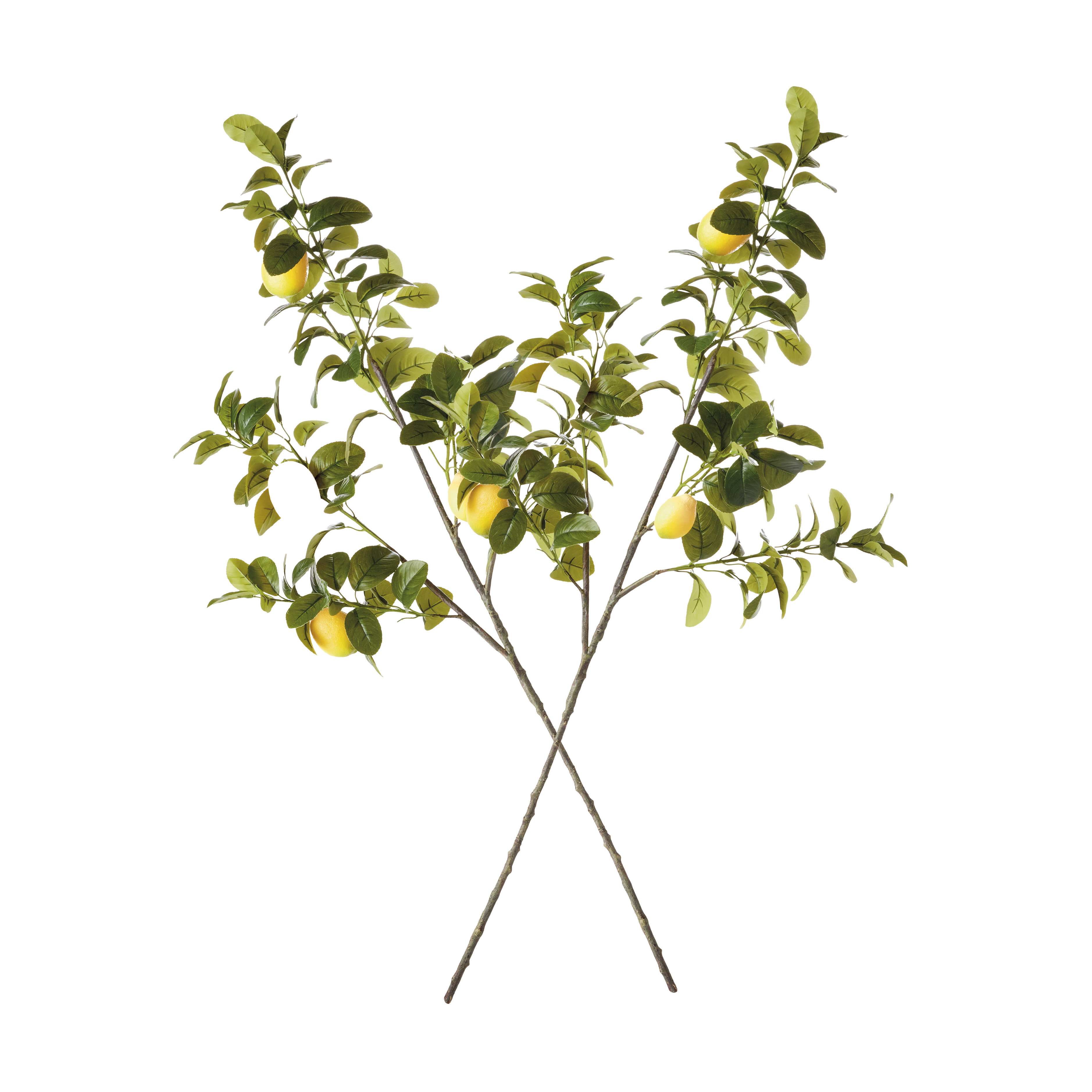 Primrue FAUX LEMON BRANCHES 43", SET OF 2 | Wayfair