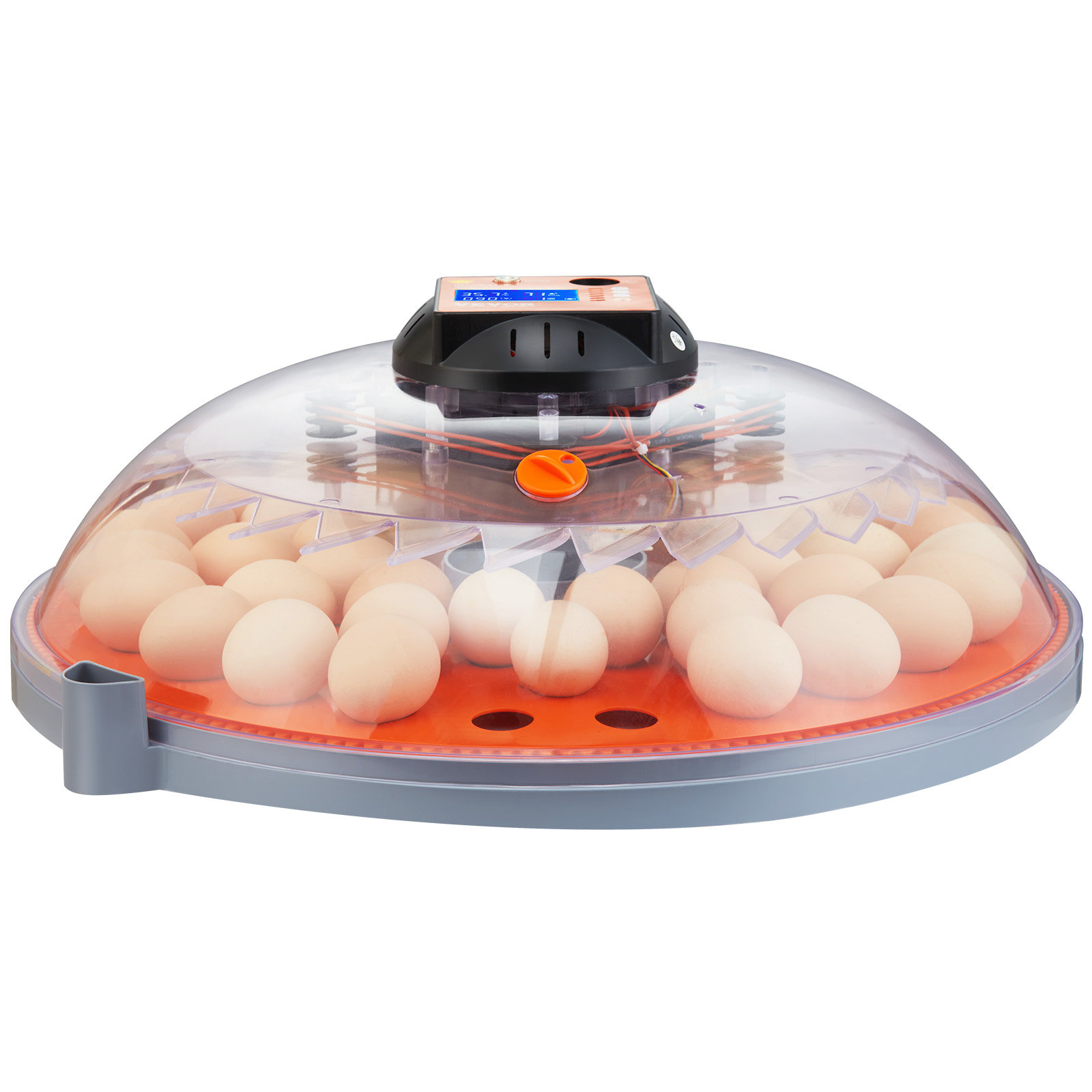 Tucker Murphy Pet™ Dorminy 60+ Eggs Chicken Egg Incubator | Wayfair