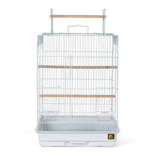 Table Top Bird Cages You'll Love | Wayfair