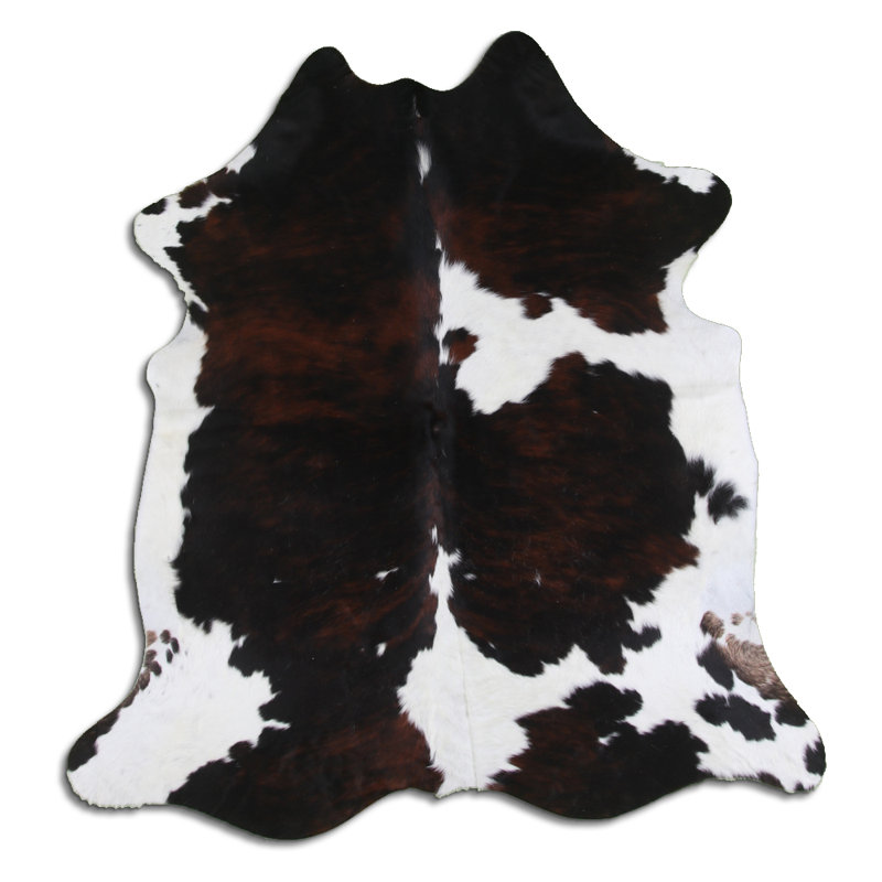 Foundry Select Animal Print Handmade Cowhide Area Rug in Black/White ...