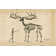 Maturi Fossil Elk Friend | Wayfair.co.uk