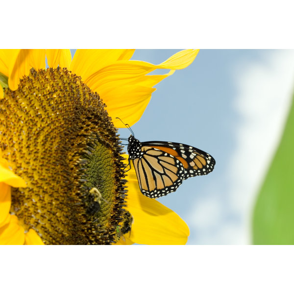 17 Stories Unimportance Of Being Busy - Print | Wayfair.co.uk