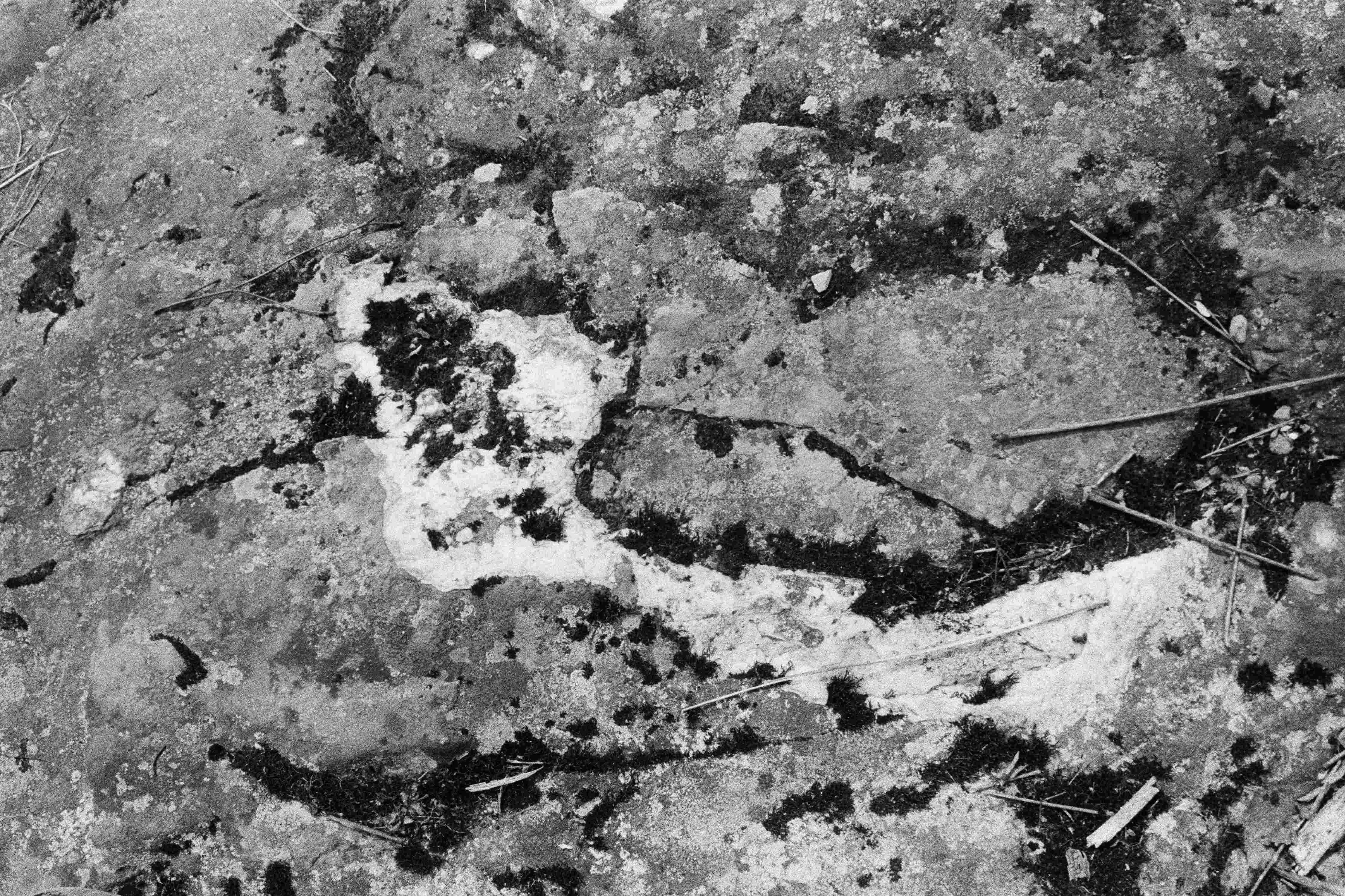 Hokku Designs Found Textures XIV by Jason Johnson - Wrapped Canvas ...