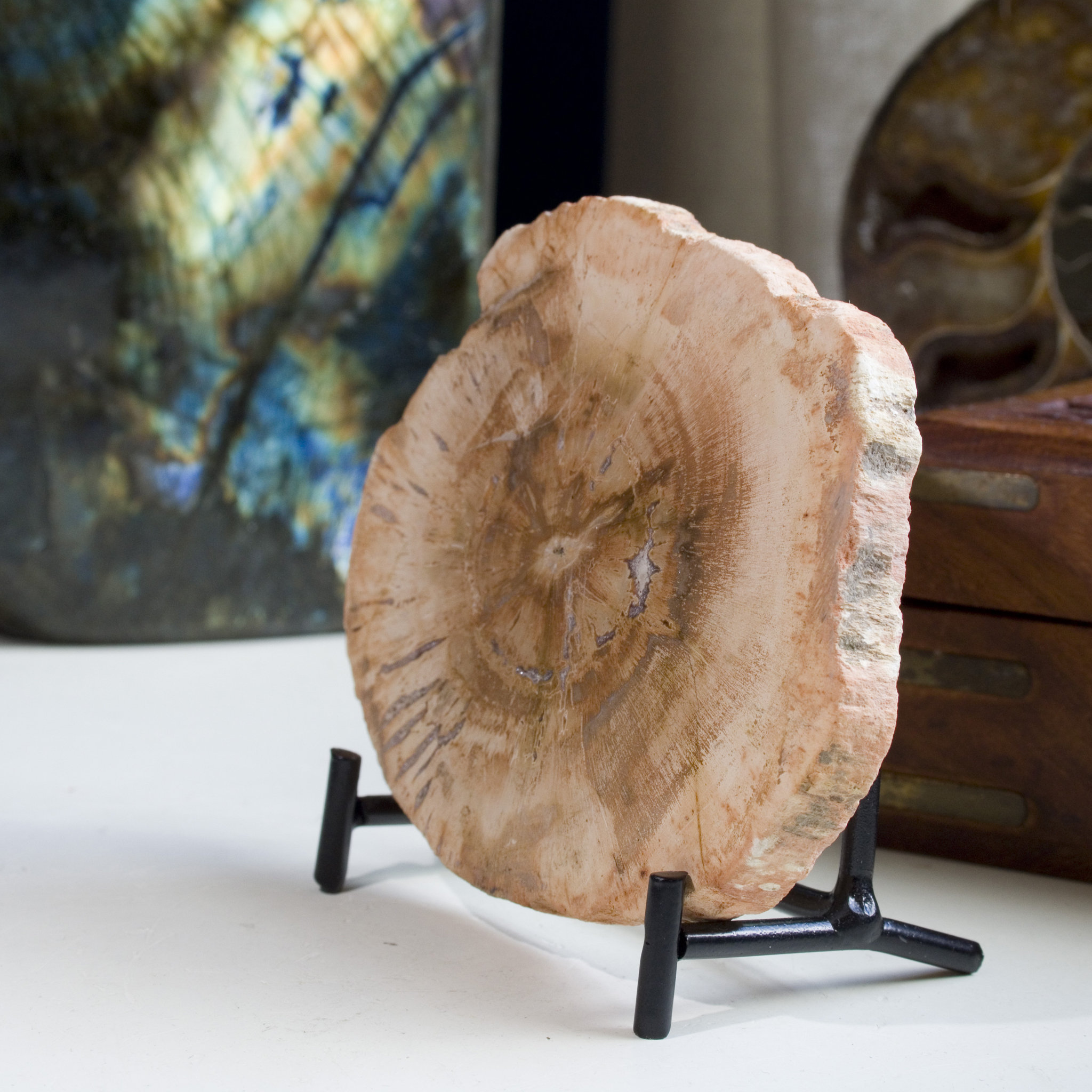 Dakota Fields Daiona Crystal | Wayfair