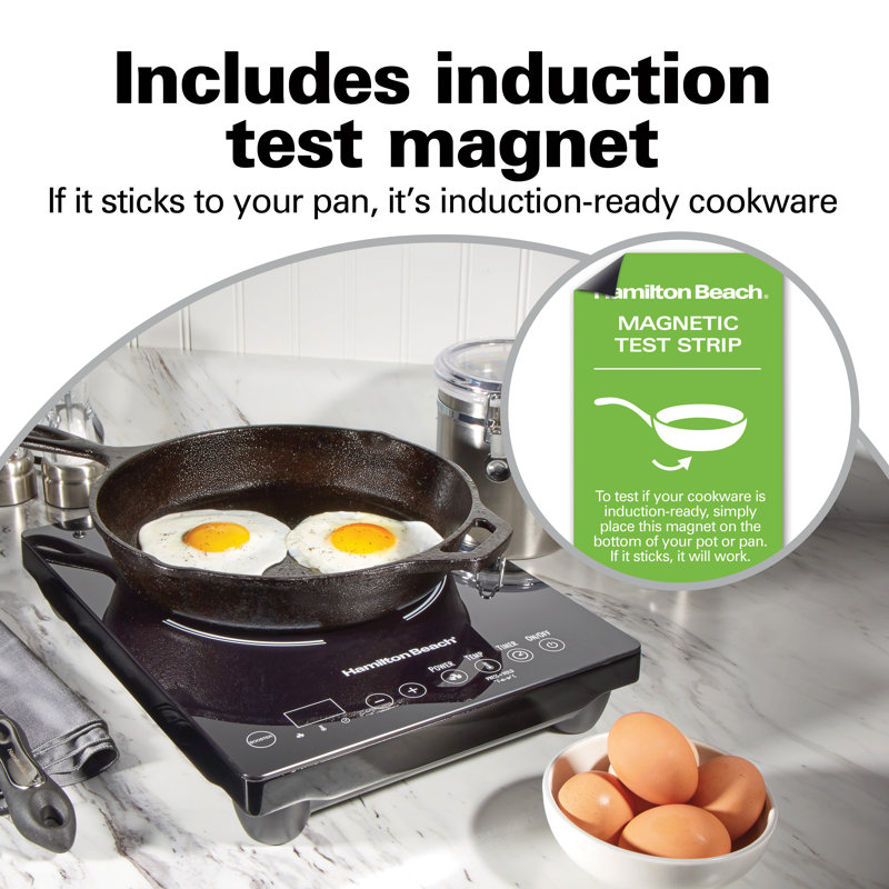 Hamilton Beach Single Induction Cooktop & Reviews | Wayfair