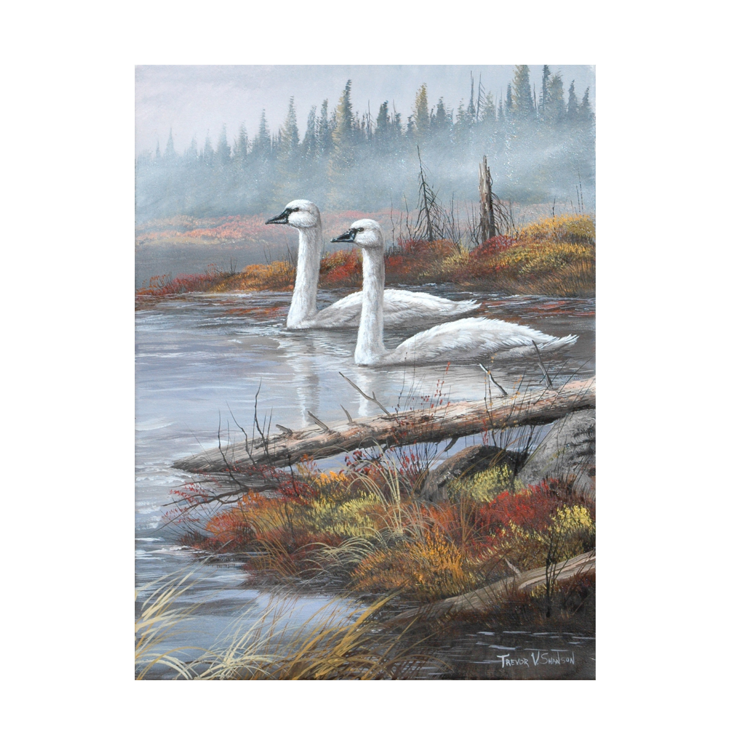 Winston Porter Trevor V. Swanson 'A Quiet Passby' Canvas Art - Wayfair ...