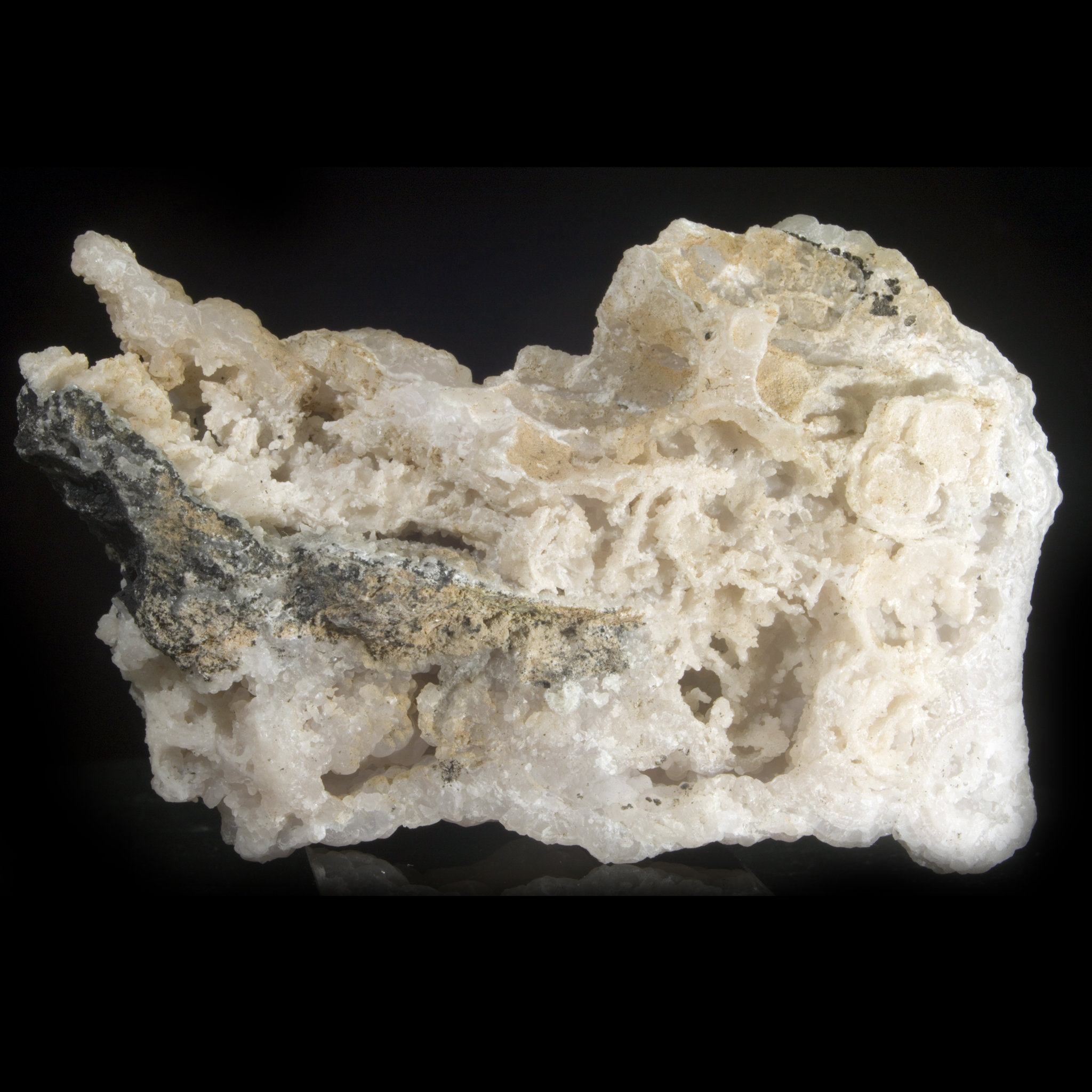 Everly Quinn Alesa Crystal | Wayfair