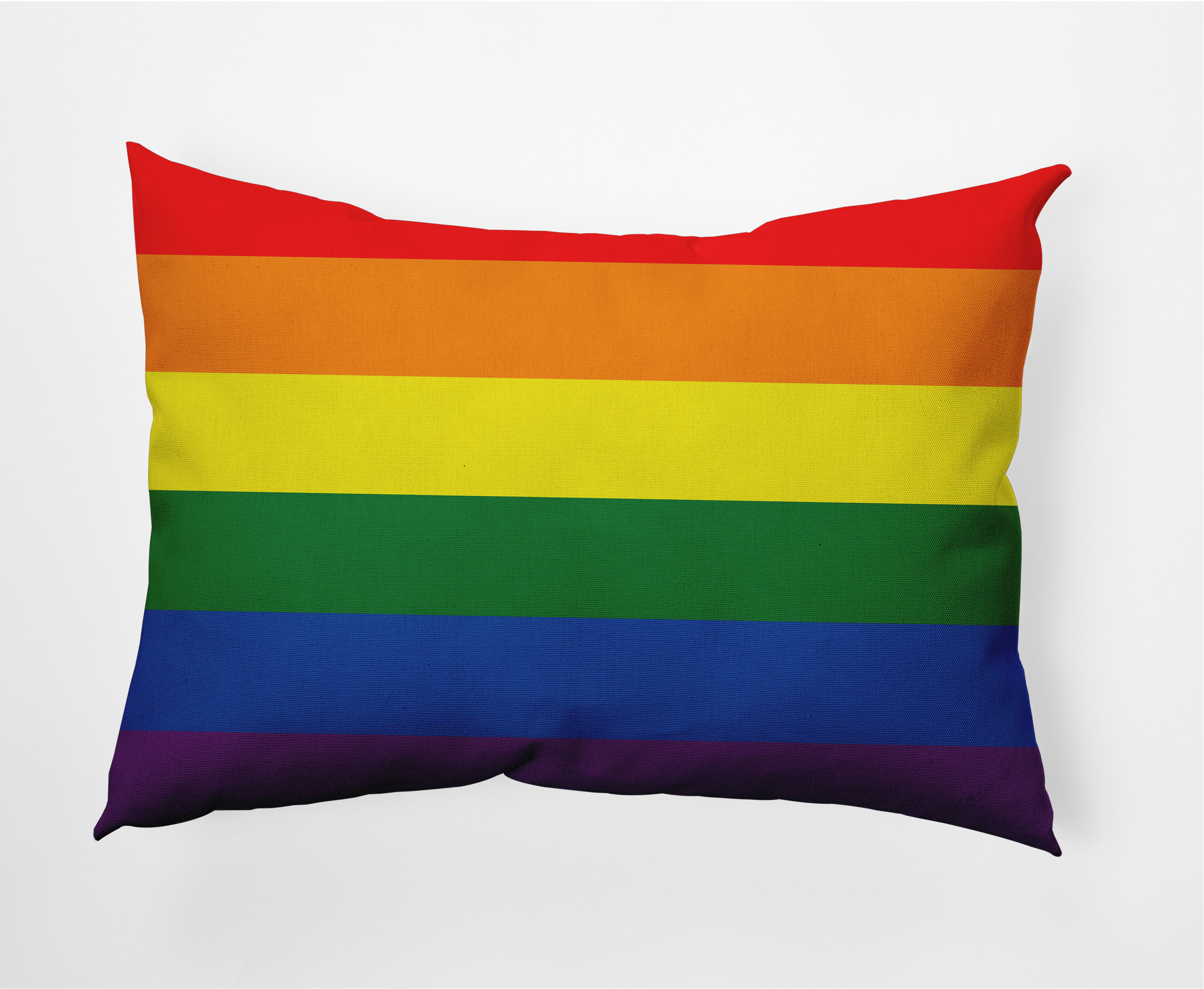 Latitude Run® Pride Flag Decorative Throw PillowLumbar | Wayfair
