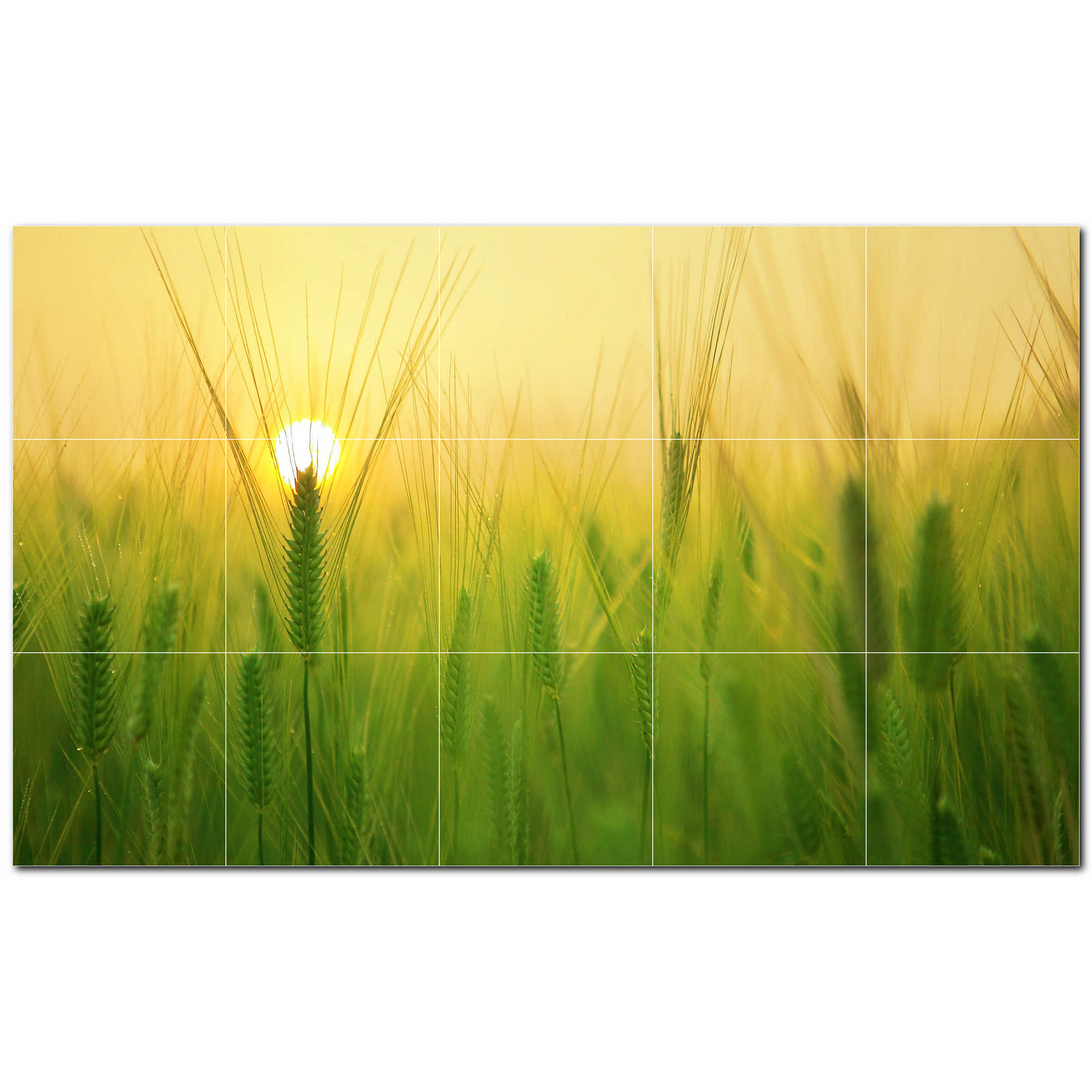 Picture-Tiles.com 30" x 18" Ceramic Farm Photo Decorative Mural Tile ...