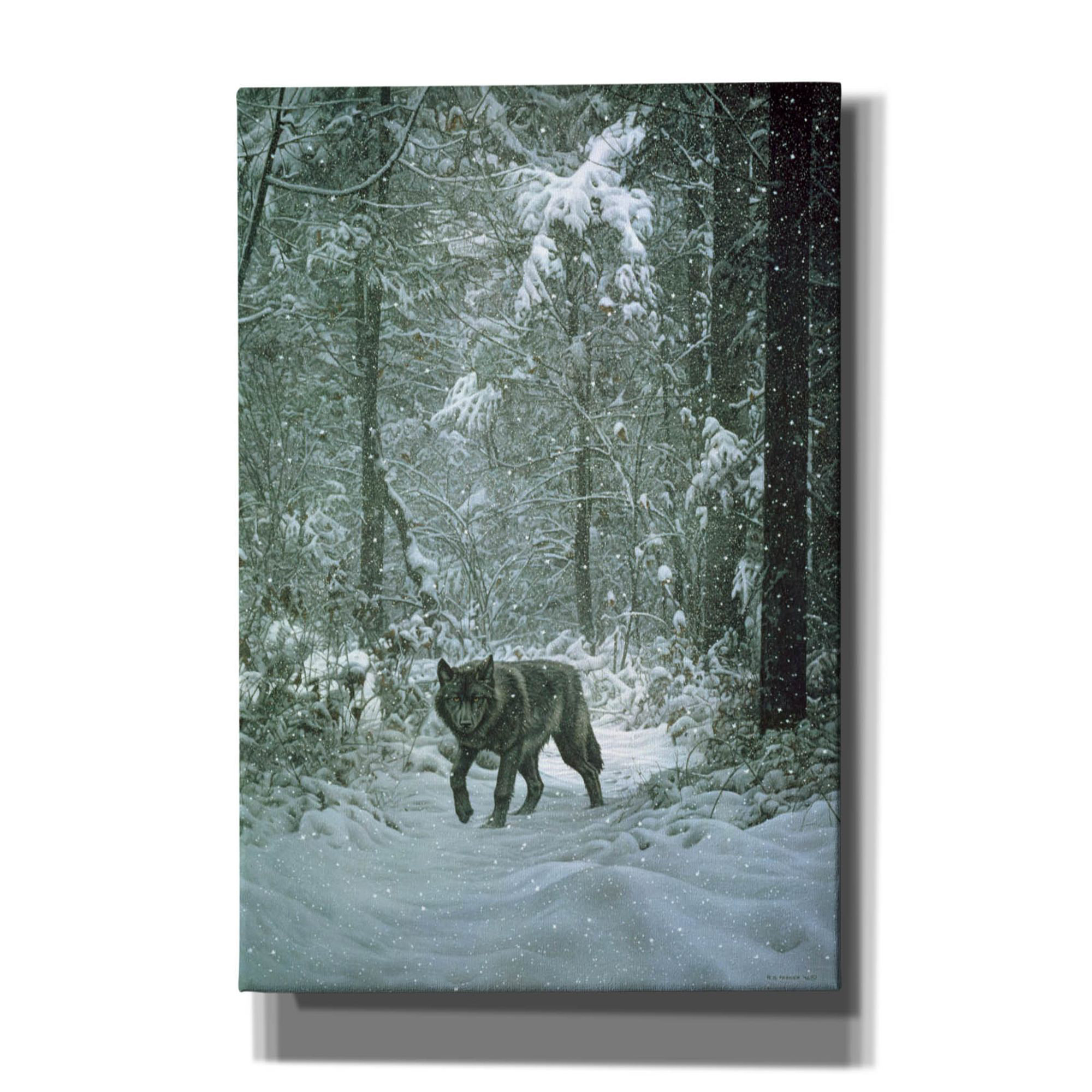 Millwood Pines Winter Encounter-Wolf On Canvas by Ron Parker Print ...