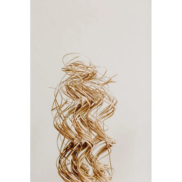 Primrue Curly Ting Bush | Wayfair