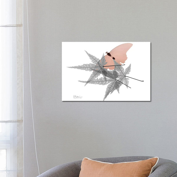 Rosalind Wheeler Hidden Flight I by Albert Koetsier - Wrapped Canvas ...