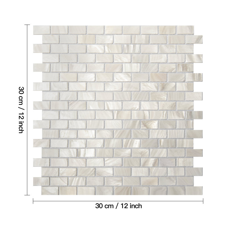 Art3d Seashell 12" x 12" Mosaic Subway Tile & Reviews - Wayfair Canada