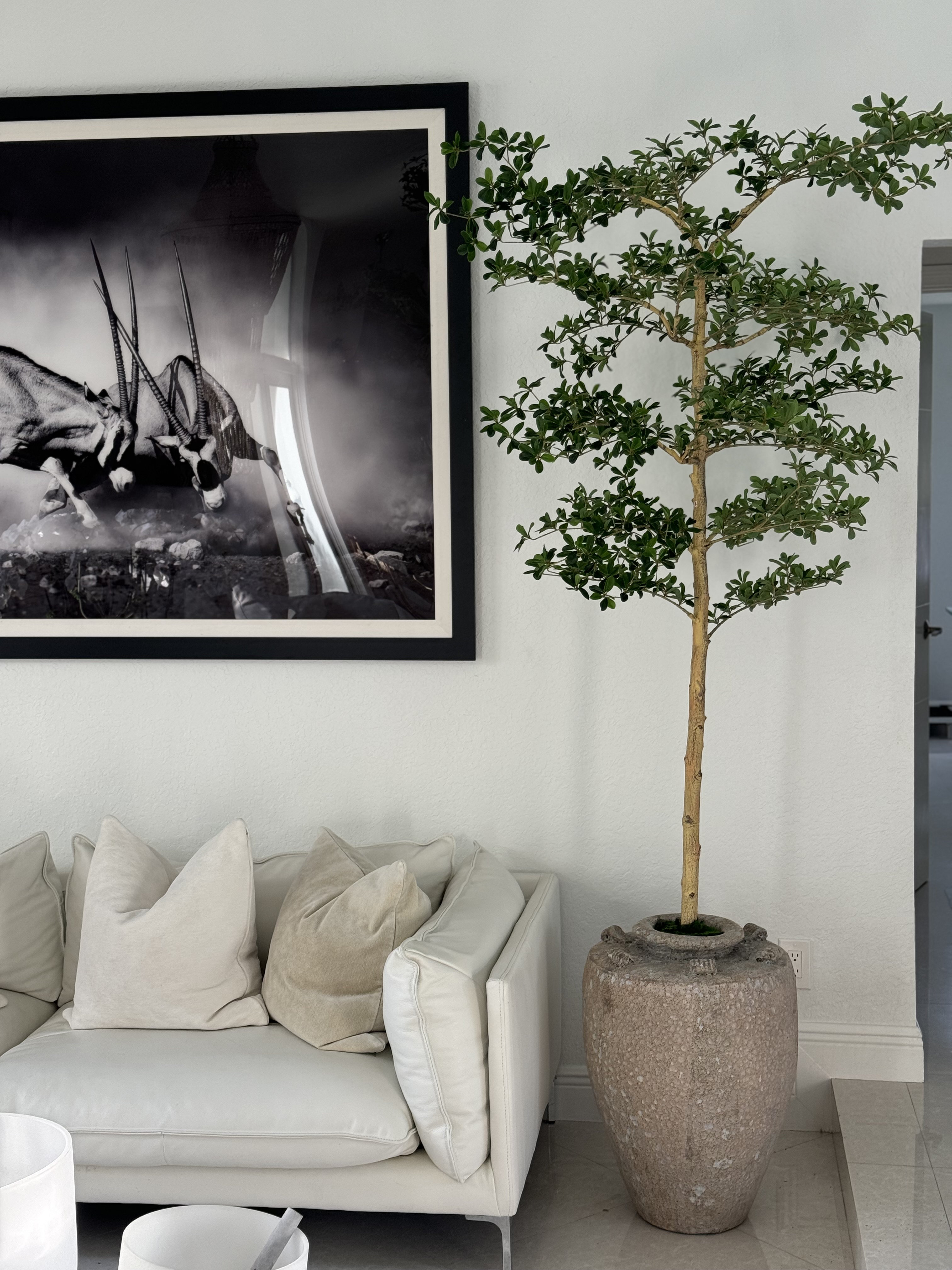 CFA Design Group Artificial Shady Lady Tree | Wayfair