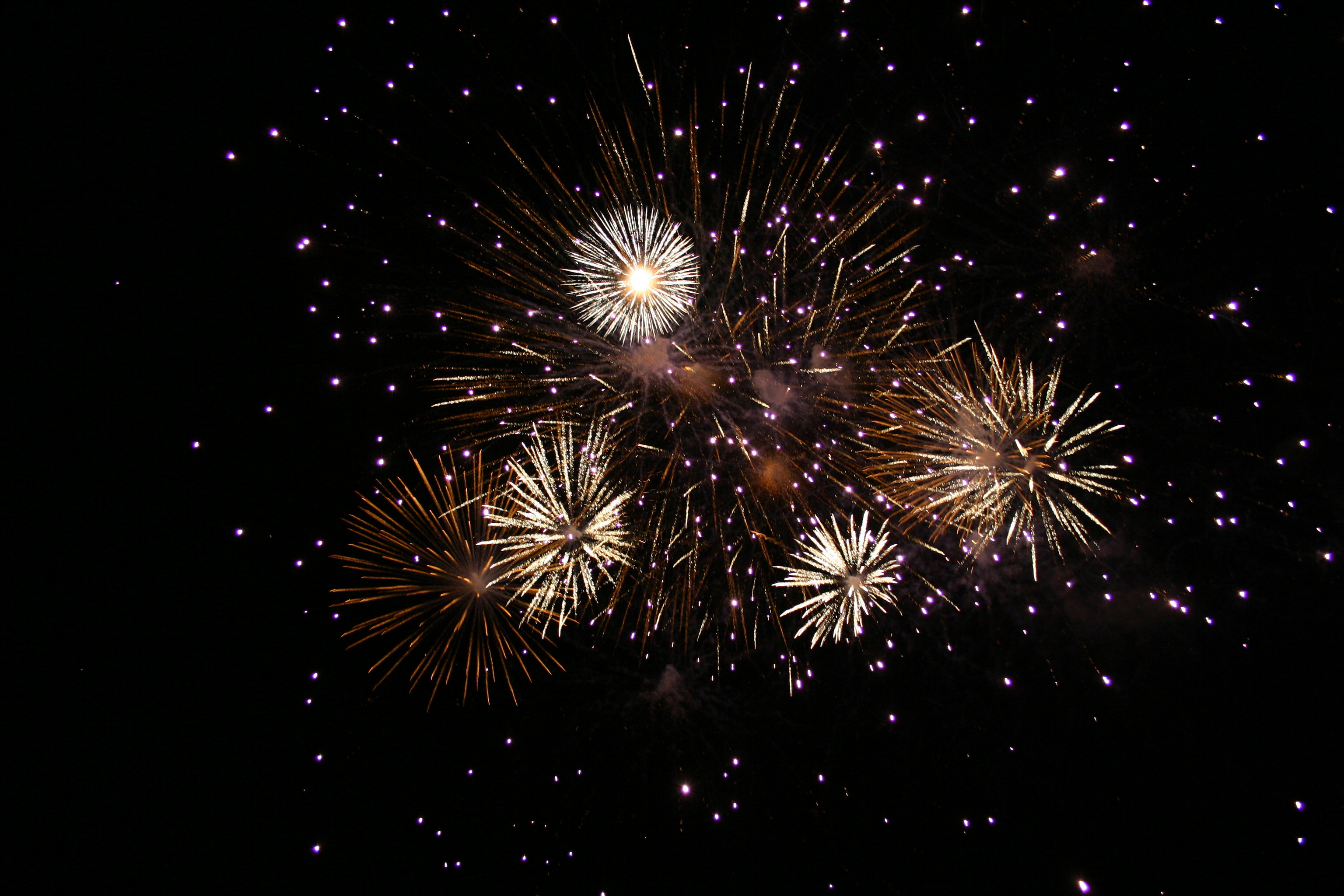 Ebern Designs Bursting Fireworks In The Night Sky by - Wrapped Canvas ...