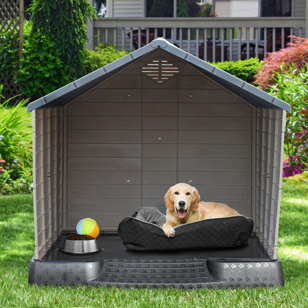 Archie & Oscar™ Shelia Plastic Dog House & Reviews | Wayfair