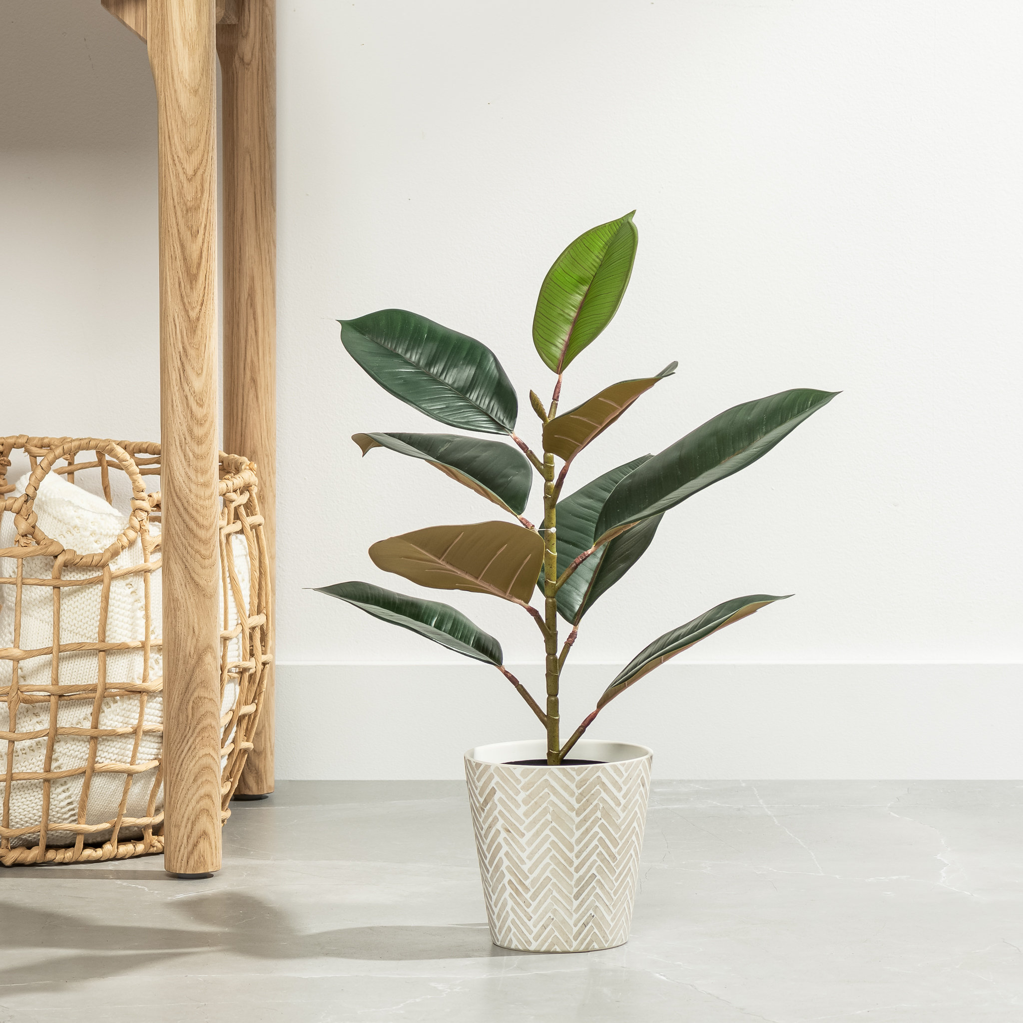 Primrue Faux Rubber Tree Tree in Pot | Wayfair