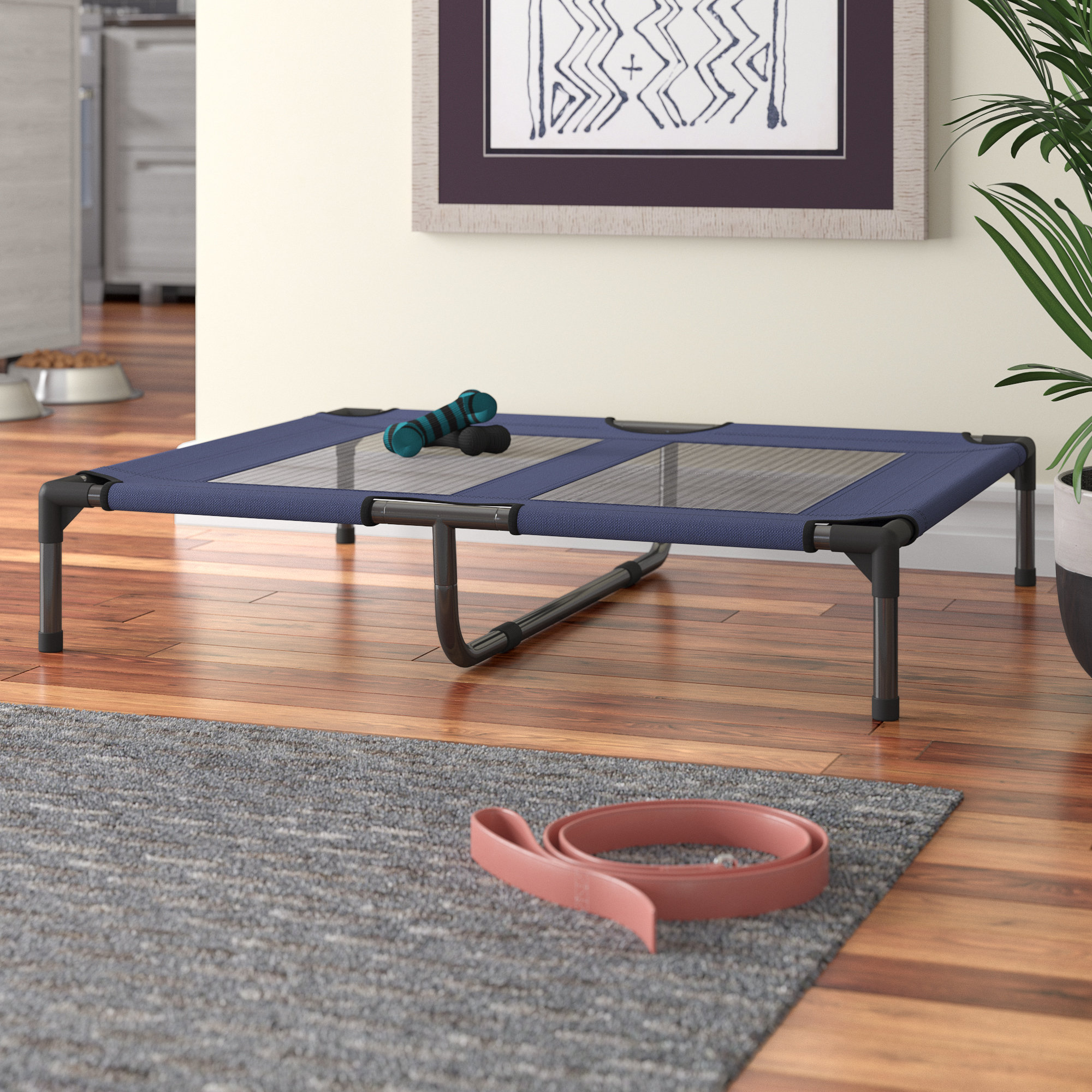 Tucker Murphy Pet™ Bundy Elevated Cot & Reviews | Wayfair