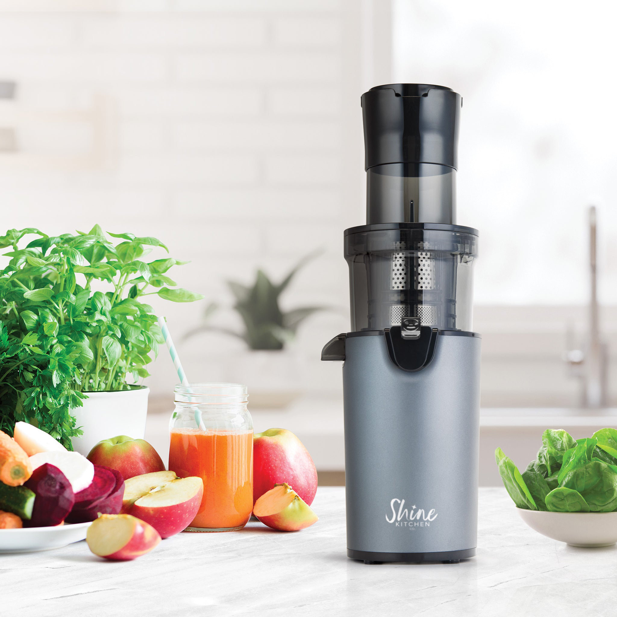 Tribest Shine Slow Masticating & Cold Press Juicer & Reviews | Wayfair
