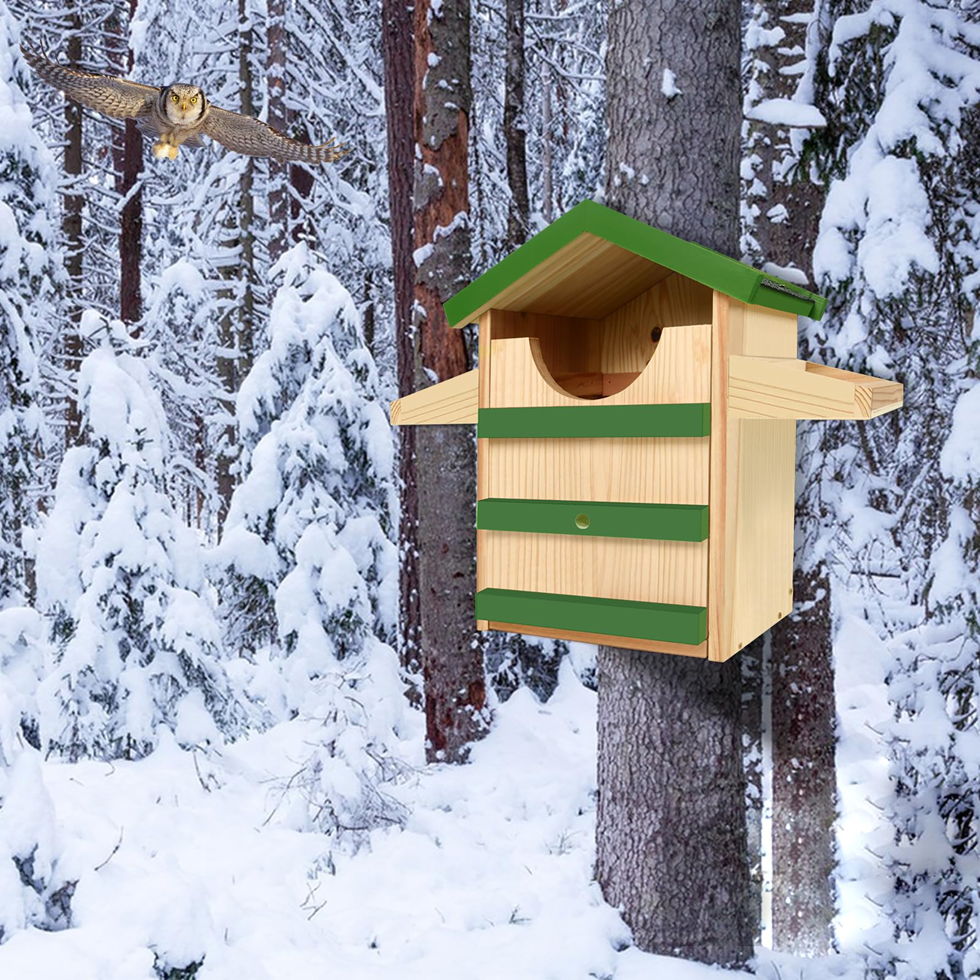 One Allium Way® Screech Owl Wooden Nesting Box | Large Opening, Bird ...