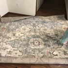 Bungalow Rose Dicksie Machine Woven Rug & Reviews | Wayfair