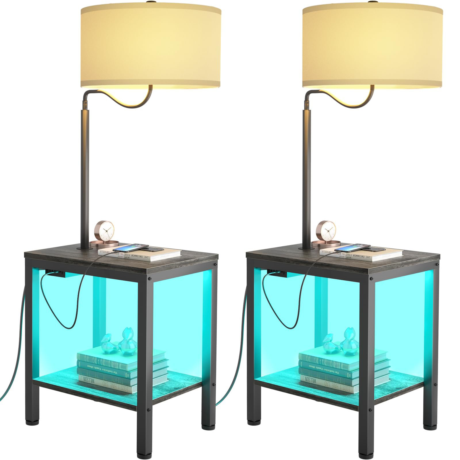 Orren Ellis Modern Multicolor Floor Lamp Table With Smart RGB LED ...