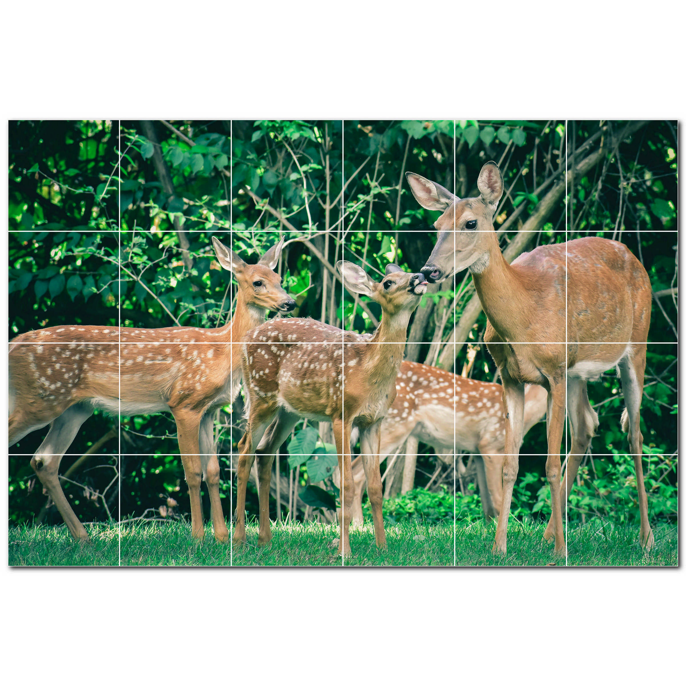 Picture-Tiles.com Deer Photo 12'' x 12'' Satin Ceramic Decorative Mural ...